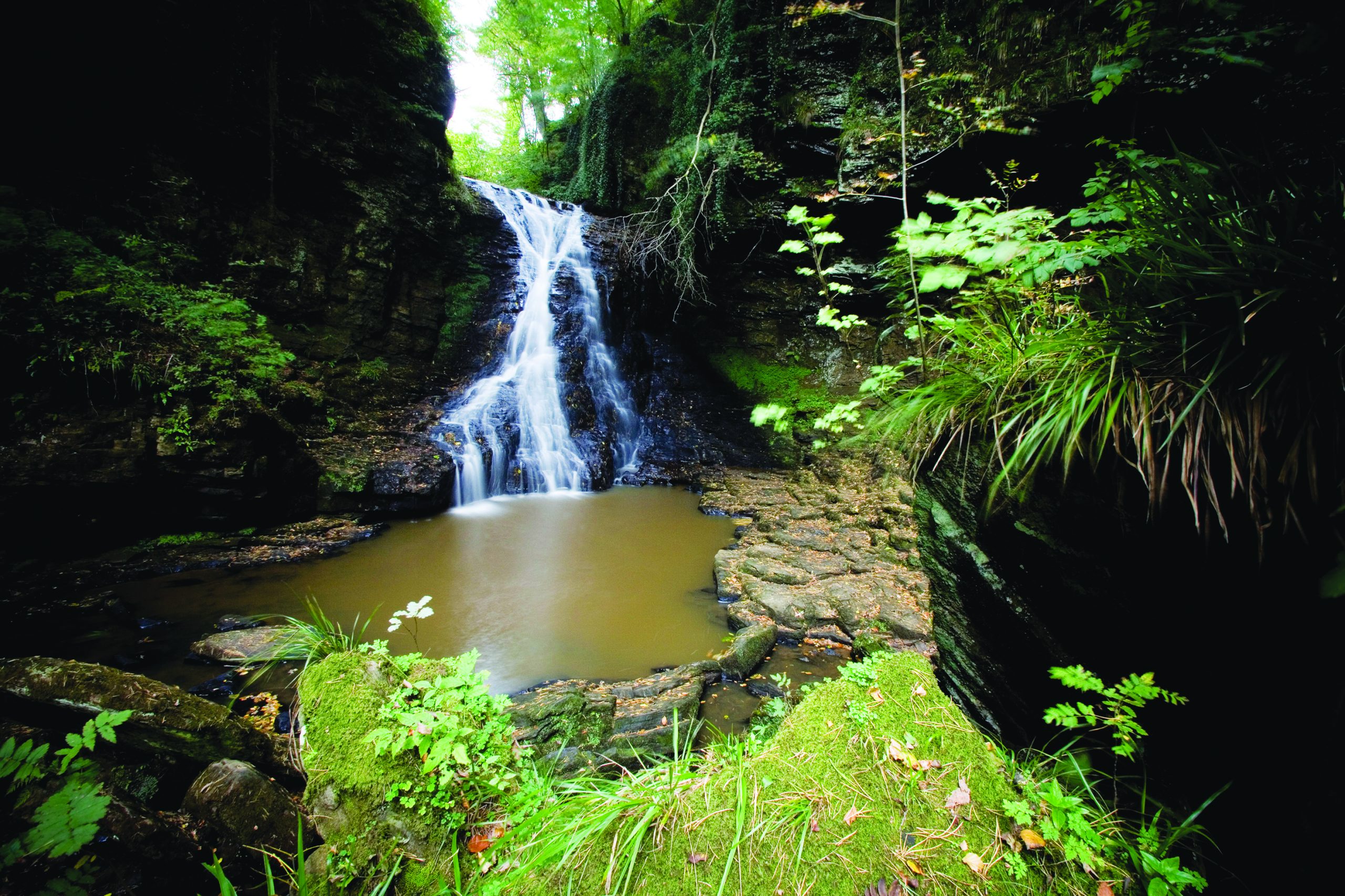 Bellingham Location - Northern Hideaways